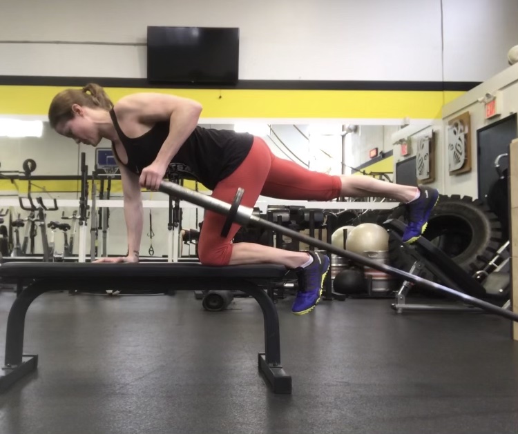 Humble Yourself With This Challenging Bird Dog - Meghan Callaway